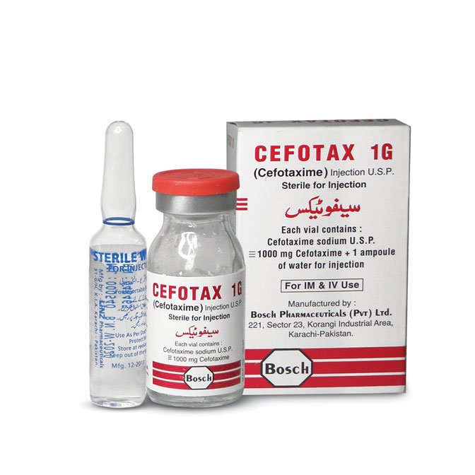 Cefotax Injection 1g 1 Vial – Medical Bazar