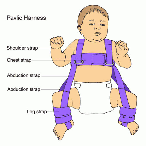 PAVLIC BABY HARNESS – Medical Bazar