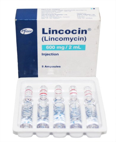 Lincocin Injection 600mg 5 Ampoules X 2ml – Medical Bazar