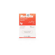 MEROSTIN 1GM INJ 1'S – Medical Bazar