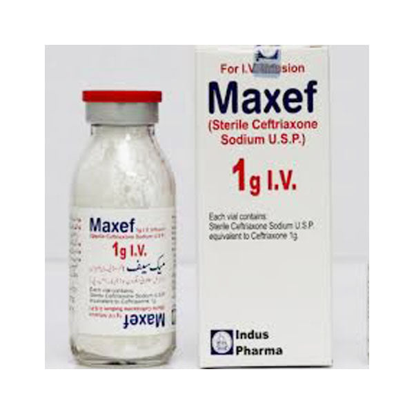 Maxef Injection Iv 1g 1 Vial – Medical Bazar