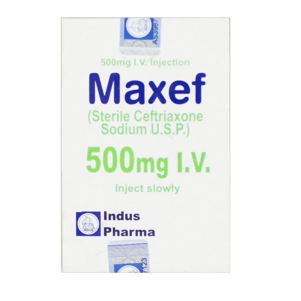 Maxef Injection Iv 500mg 1 Vial – Medical Bazar